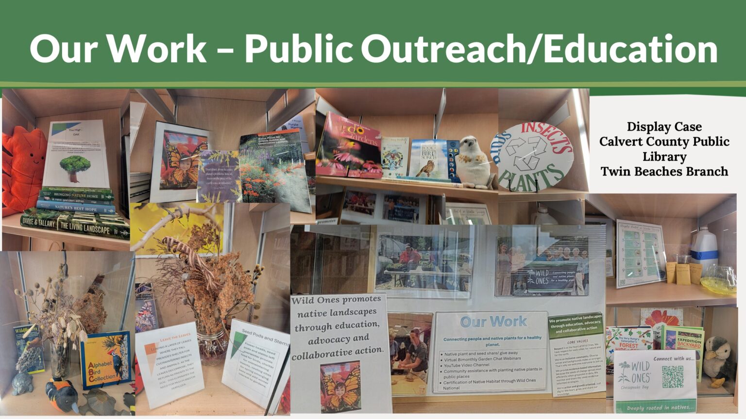 Library Display Case for Education – Wild Ones Chesapeake Bay Chapter