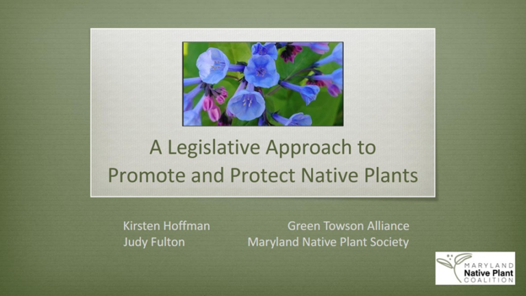 April 2025 is National Native Plant Month!!! – Wild Ones Chesapeake Bay ...